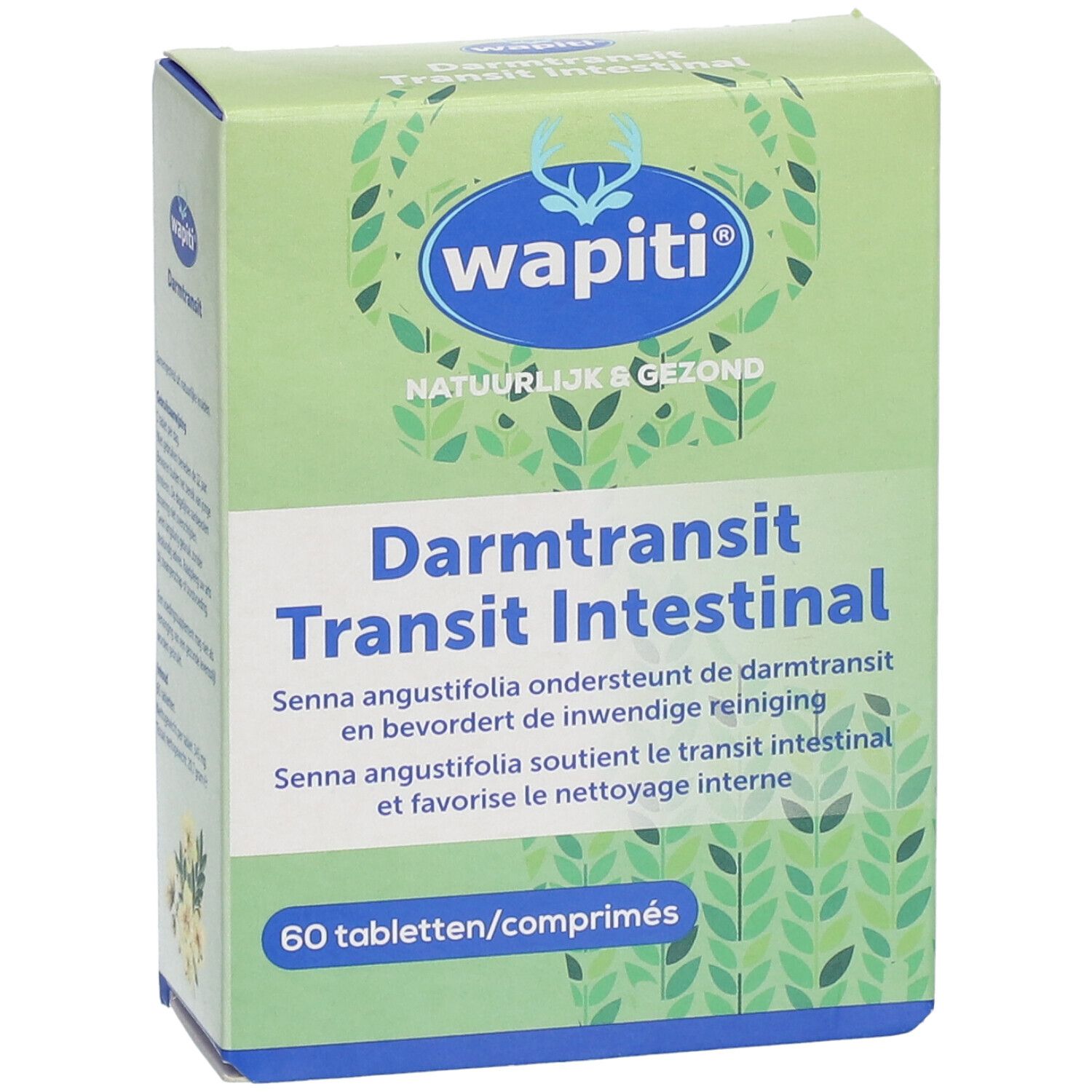 wapiti® Darmtransit Transit Intestinal 60 St - Redcare Apotheke