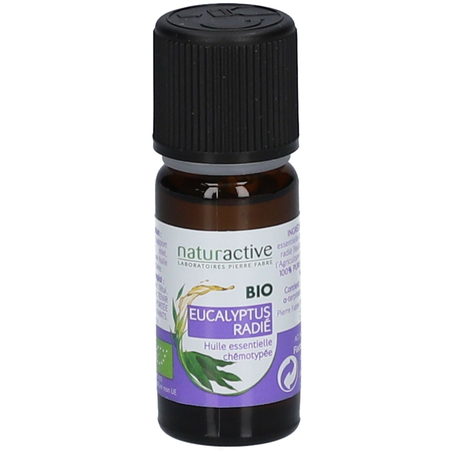Naturactive Ätherisches Öl Eucalyptus Radiata Bio 10 Ml Redcare Apotheke